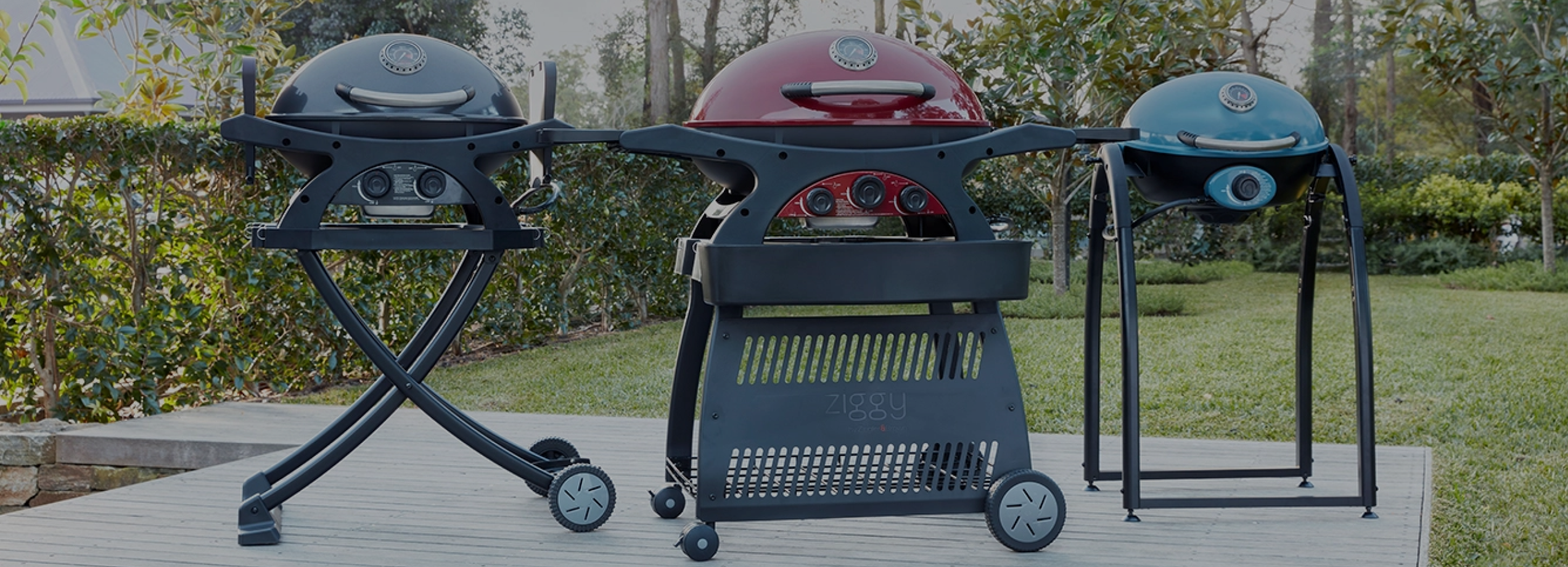 High quality BBQs, Smokers, Indoor & Outdoor Heating - BBQ's and More ...